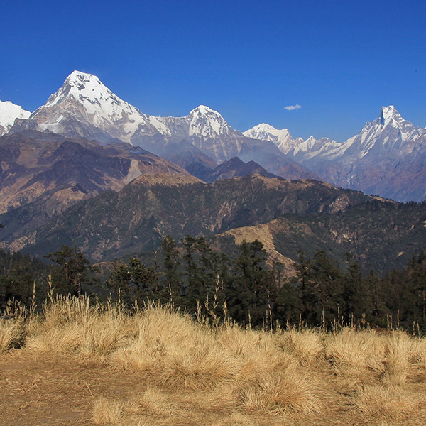 MS QLD - Hike for Health Nepal 2024 | Inspired Adventures