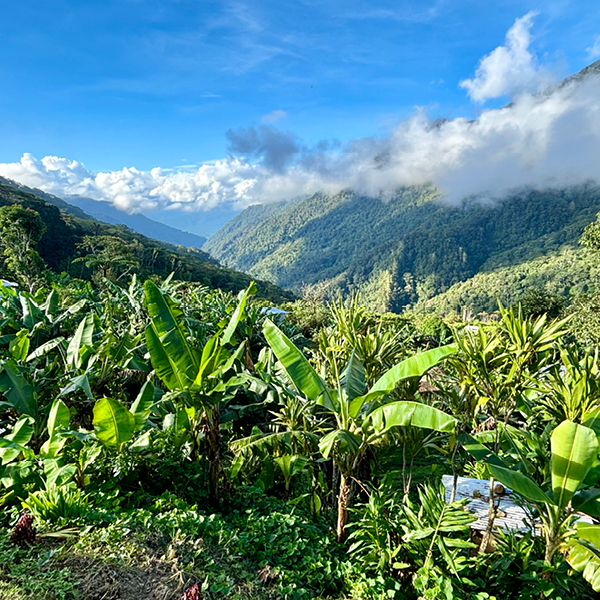 Trojan's Trek - Kokoda 2025 | Inspired Adventures