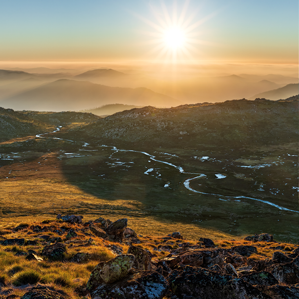 Wildlife Victoria - Three Peaks VIC 2025 | Inspired Adventures