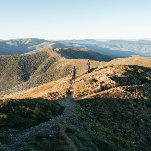 Wildlife Victoria - Three Peaks VIC 2025 | Inspired Adventures