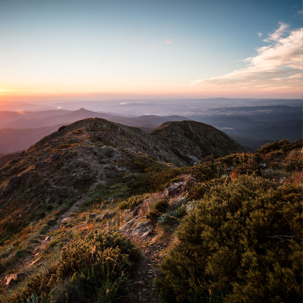 Wildlife Victoria - Three Peaks VIC 2025 | Inspired Adventures