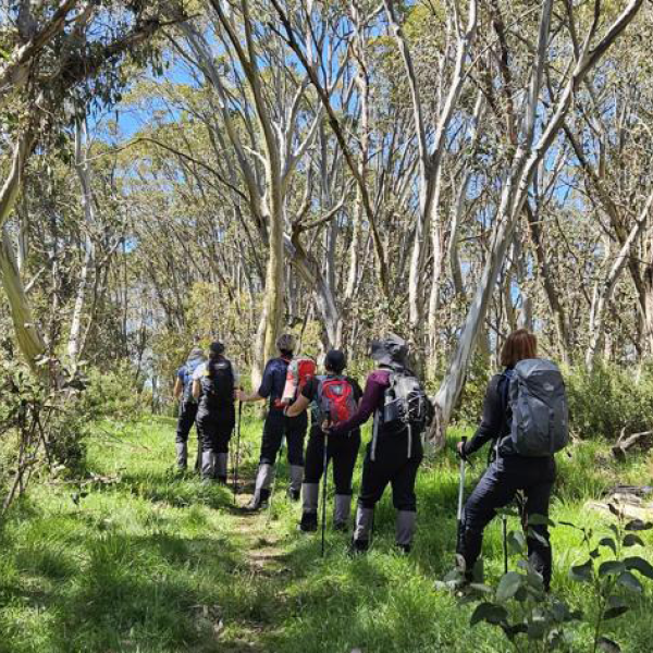 Wildlife Victoria - Three Peaks VIC 2025 | Inspired Adventures