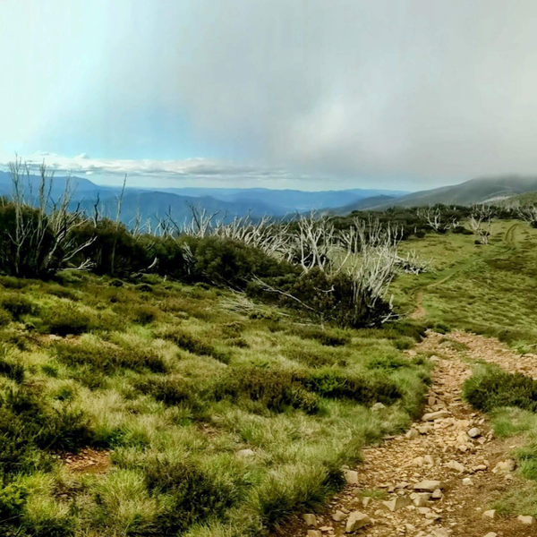 Thank you - Kids Under Cover - Three Peaks VIC 2026 | Inspired Adventures
